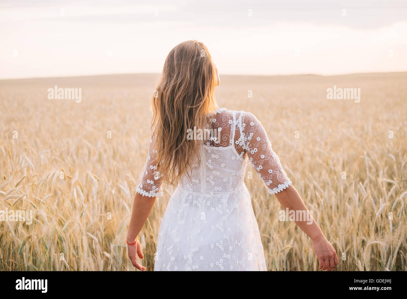 Walking through field hi-res stock photography and images - Alamy