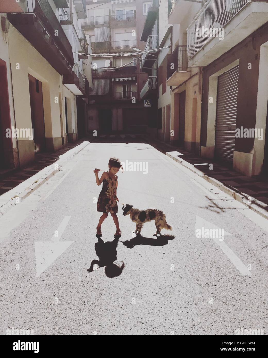 Girl standing in street with dog Stock Photo - Alamy