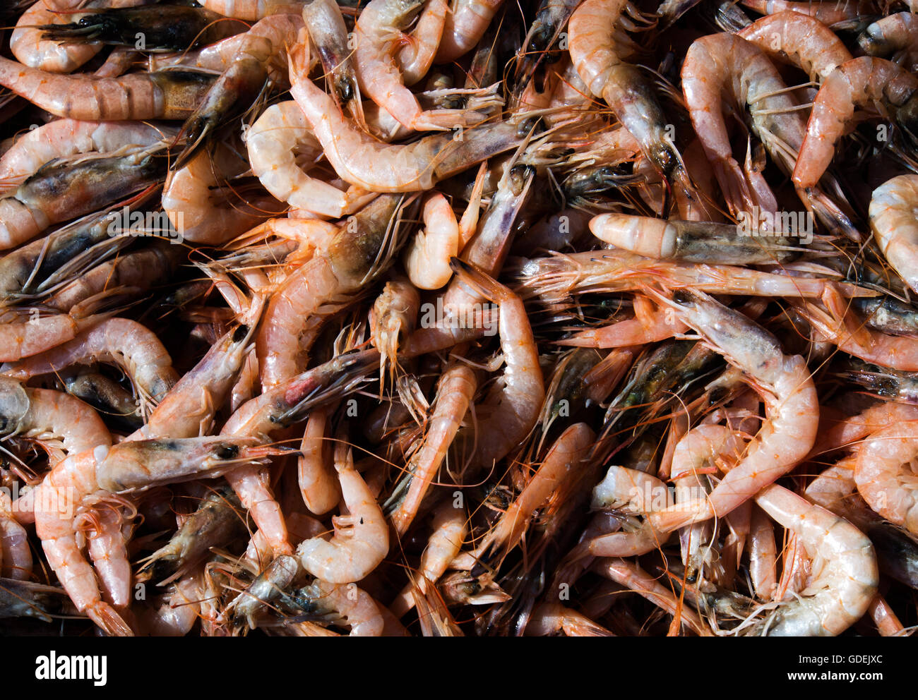 Close-up of prawns at market Stock Photo - Alamy