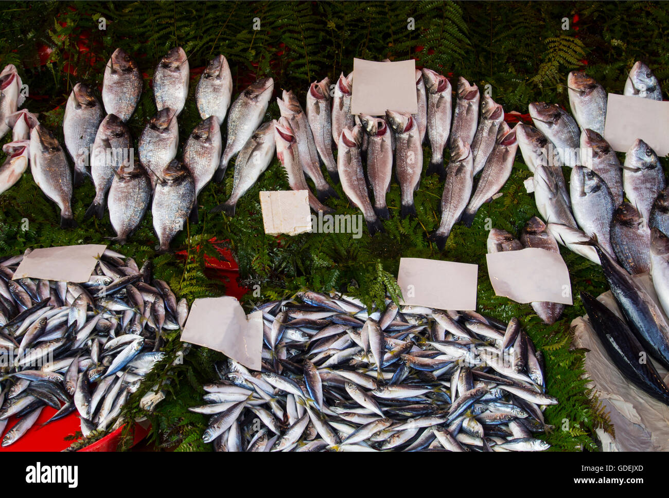 Fish market in Galata, Istanbul, Turkey Stock Photo - Alamy