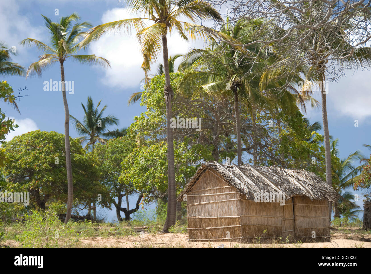 Straw beach hut hi-res stock photography and images - Alamy