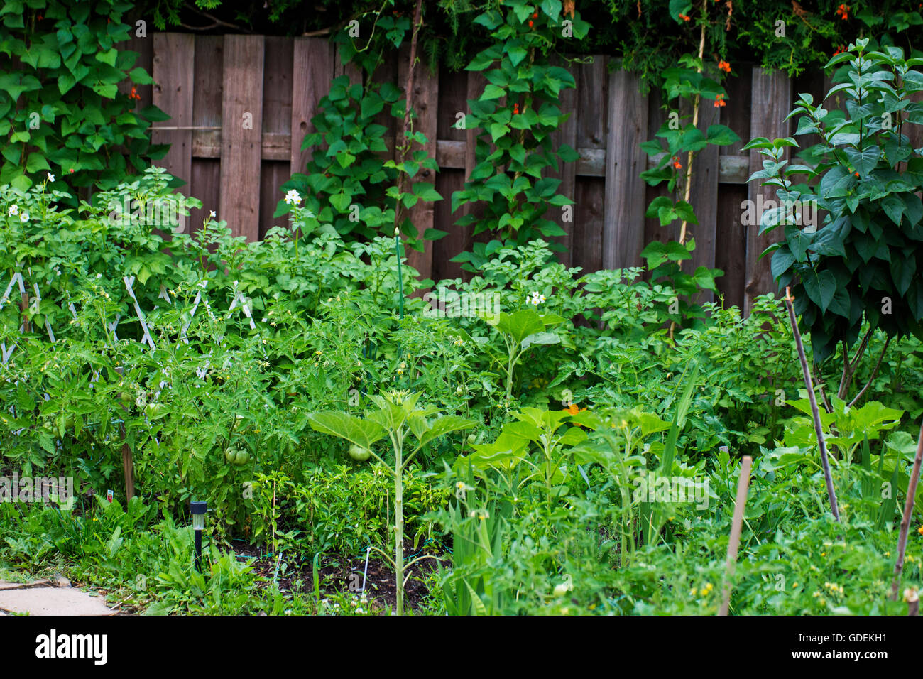 The traditional kitchen garden, also known as a potager (in French ...