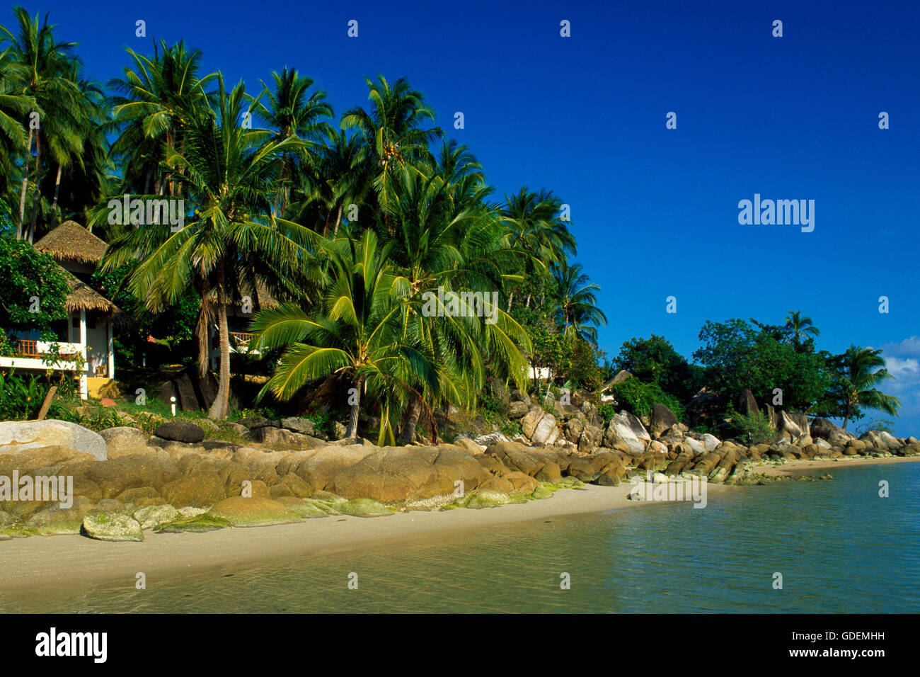 Ko samui thailand beach hi-res stock photography and images - Alamy