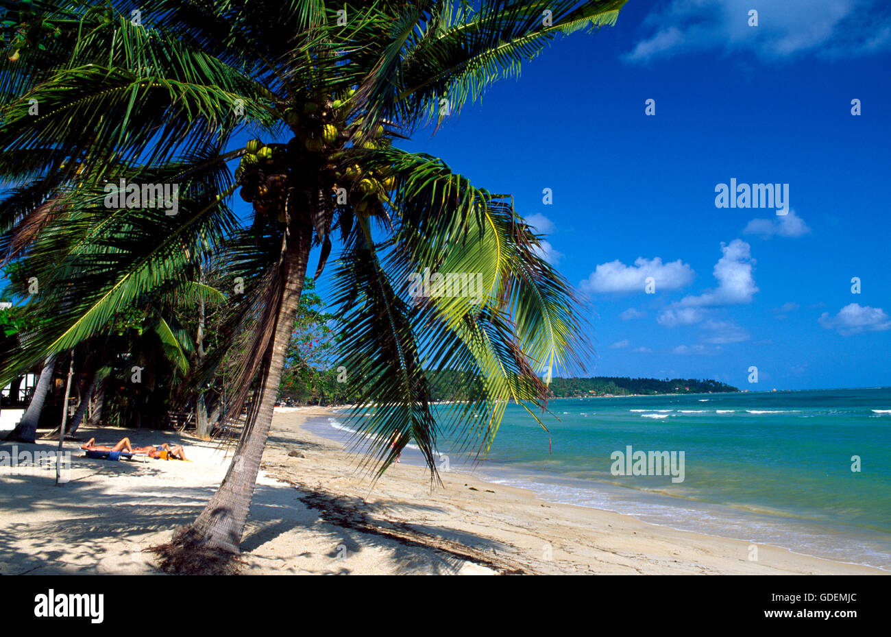 Chaweng Beach, Koh Samui, Thailand Stock Photo - Alamy