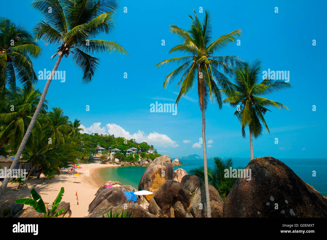 Coral Cove, Ko Samui, Thailand Stock Photo - Alamy