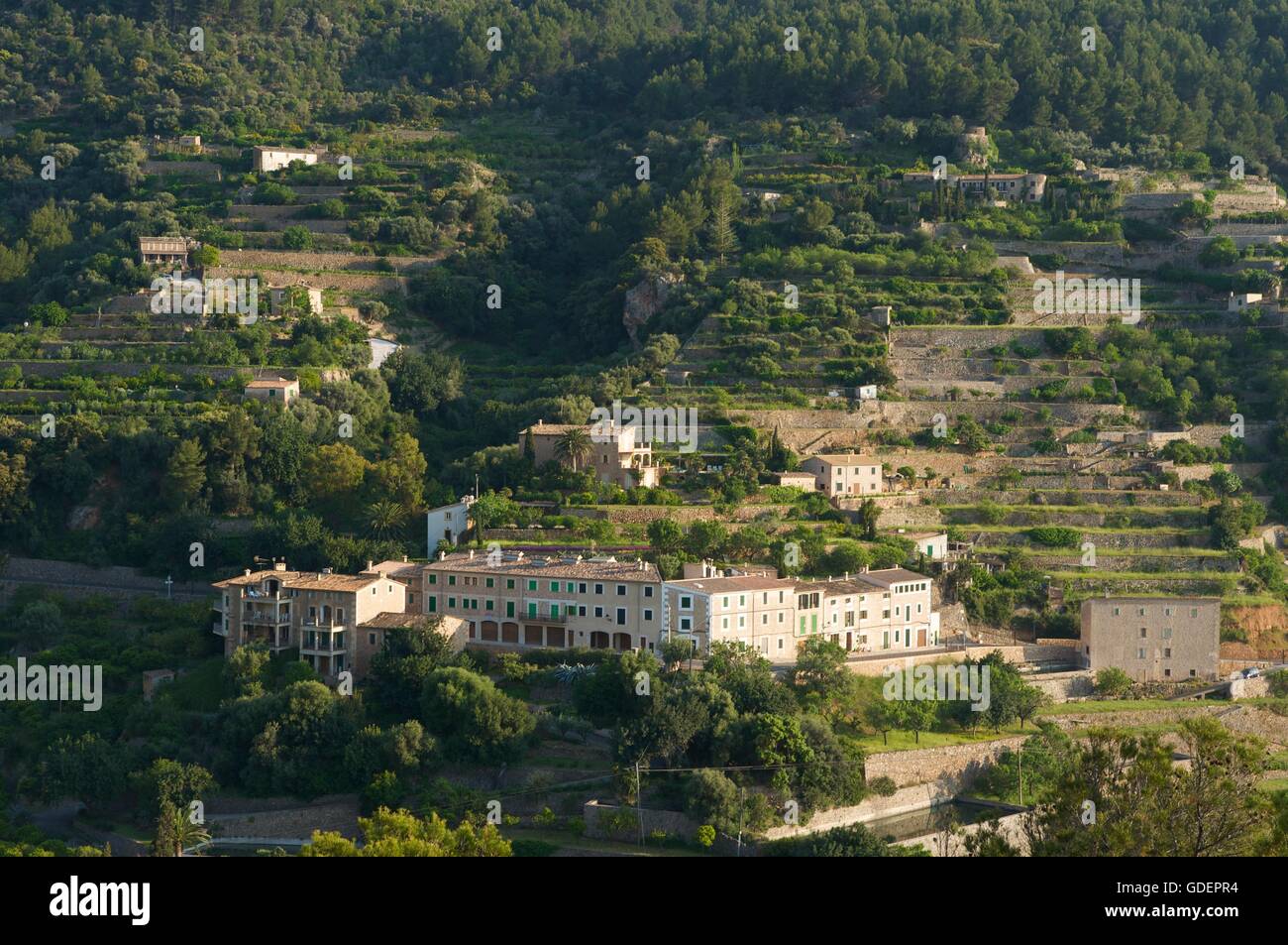 Terraces near banyalbufar mallorca hi-res stock photography and images ...