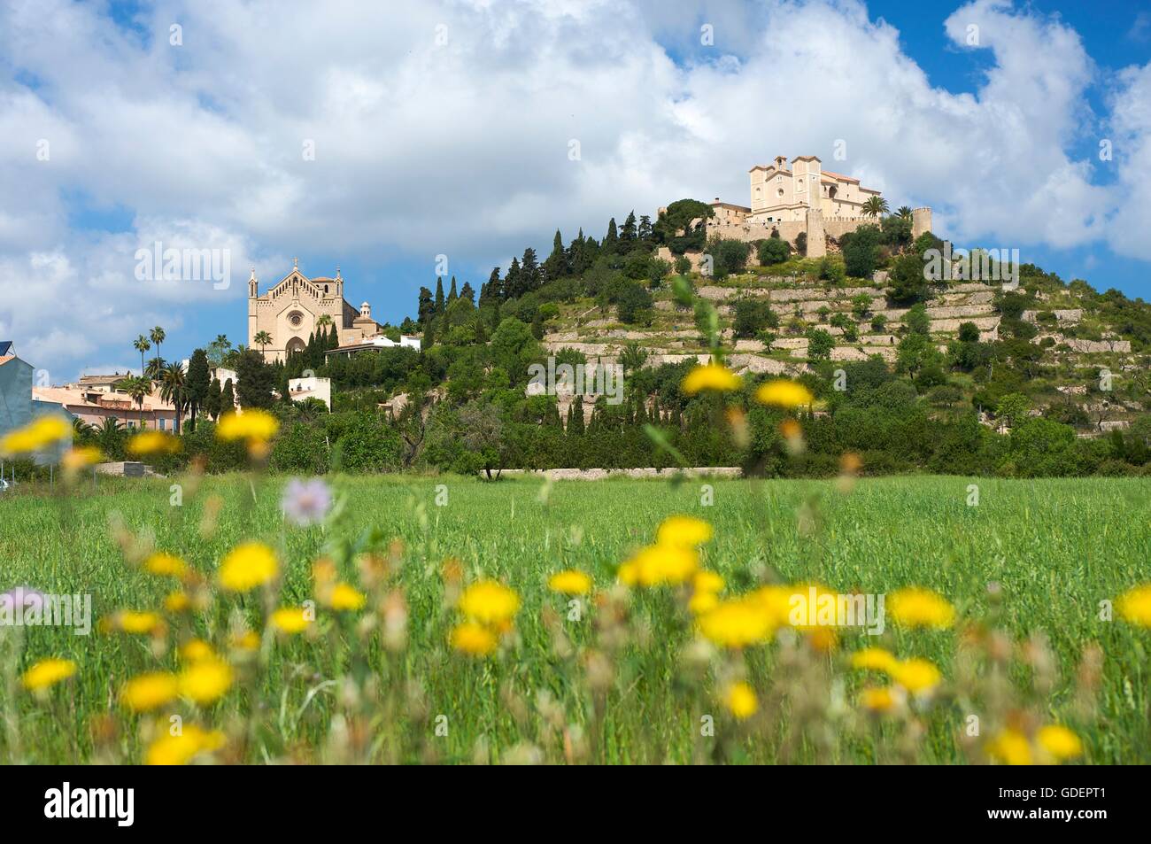 Arta majorca balearic islands hi-res stock photography and images - Alamy