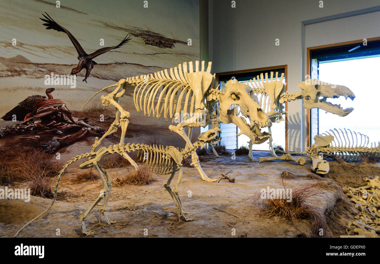 Agate Fossil Beds National Monument Stock Photo - Alamy