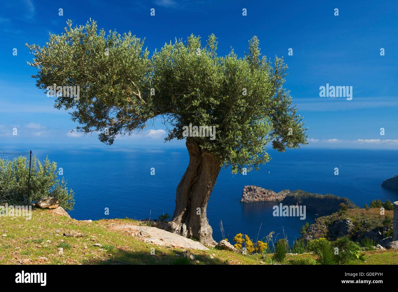 Sa Foradada near Valldemossa, Mallorca, Majorca, Balearic Islands ...