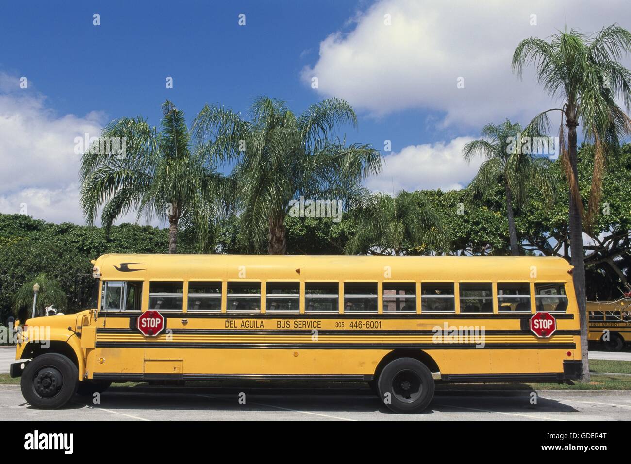 School bus, Coral Gables, Miami, Florida, USA Stock Photo - Alamy