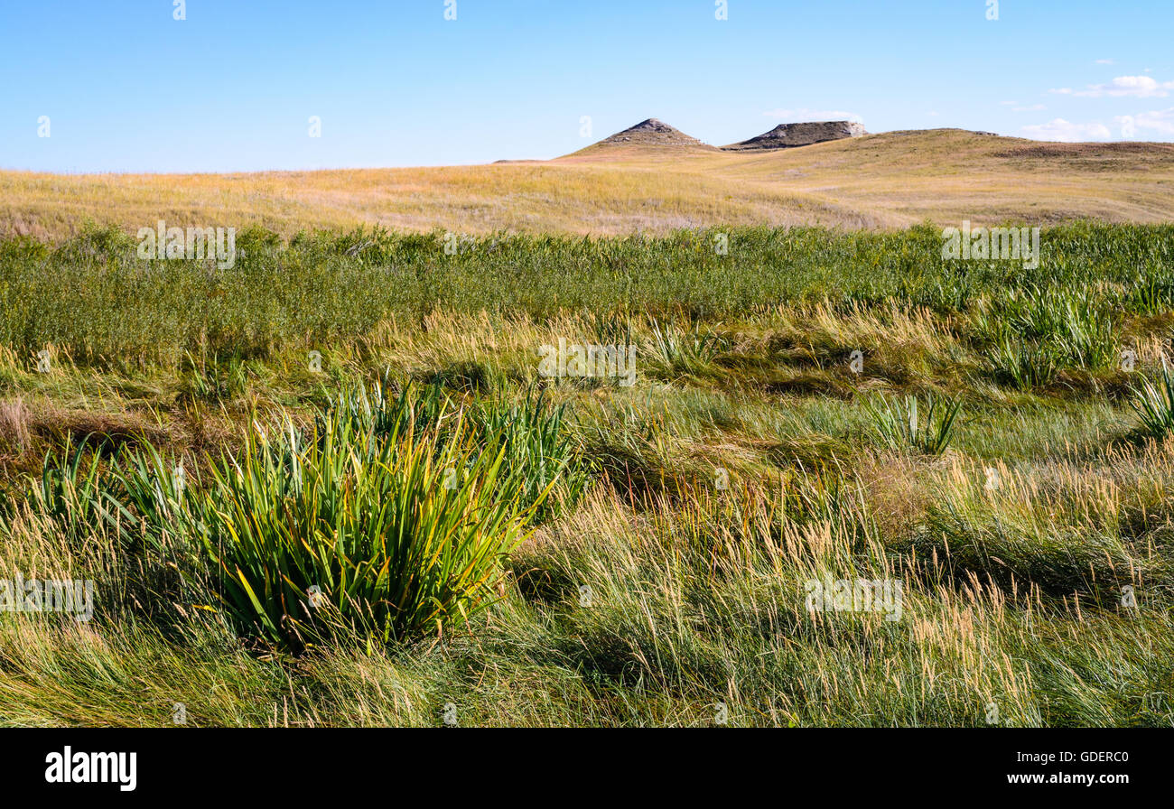 Prairie agate nebraska hi-res stock photography and images - Alamy