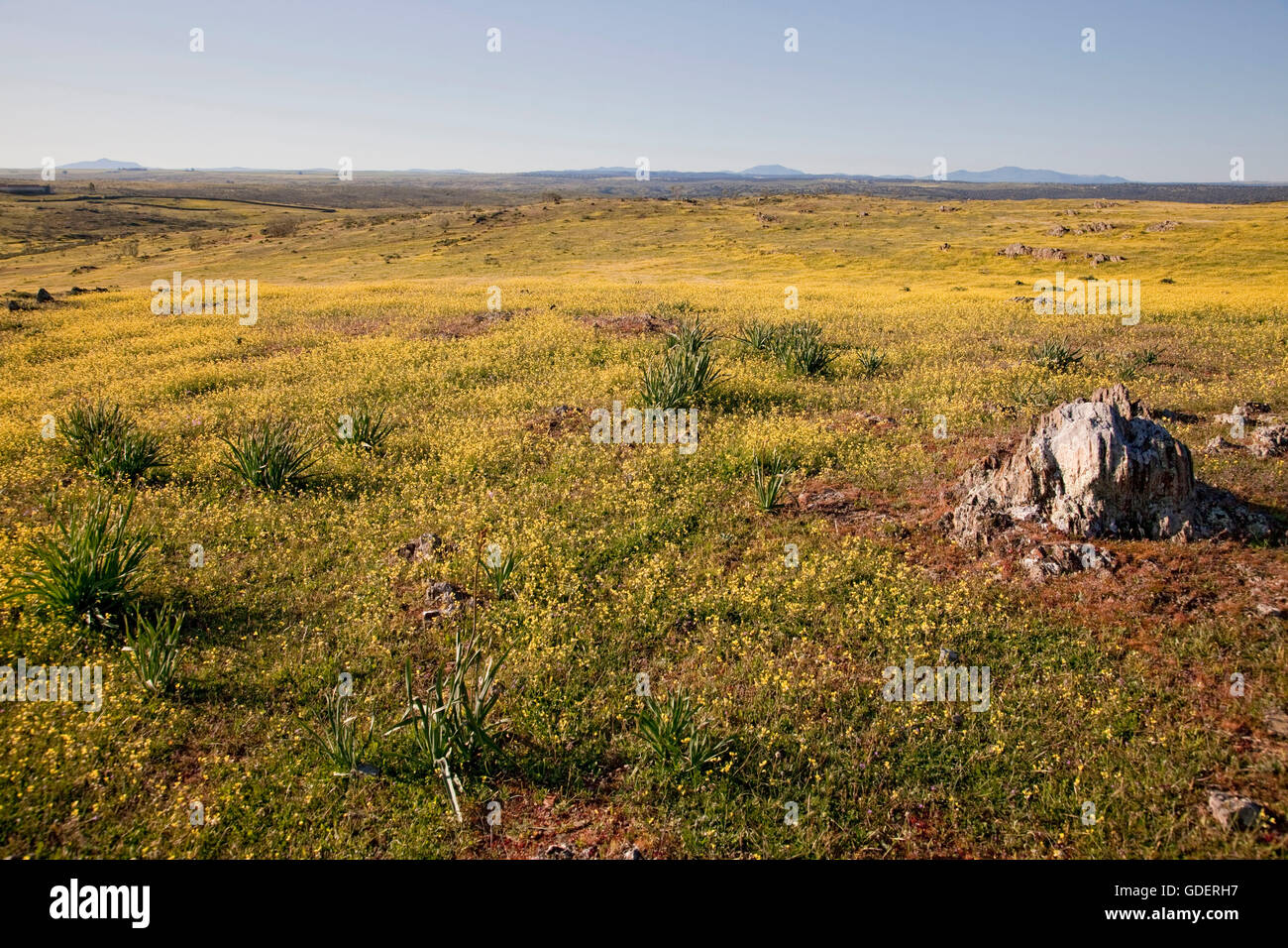 Trujillo plains hi-res stock photography and images - Alamy