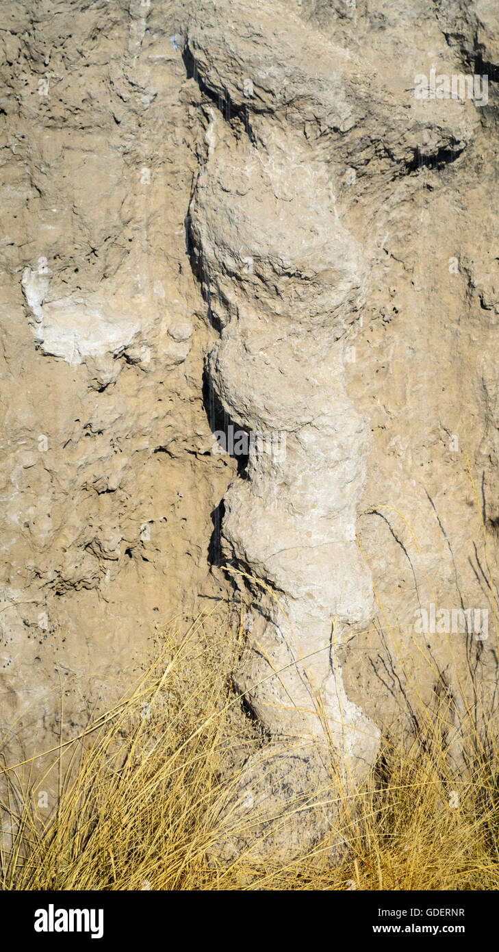 Fossils beds hi-res stock photography and images - Alamy