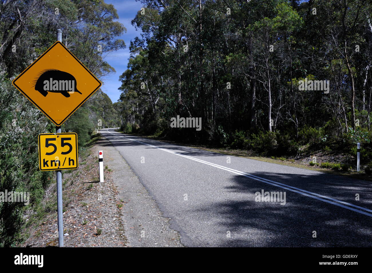 Road Sign Echidna, Tasmania, Australia Stock Photo - Alamy