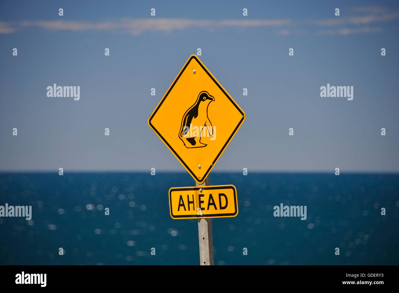 Road sign penguin hi-res stock photography and images - Alamy