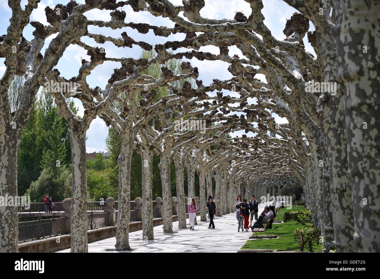 Promenade Paseo De La Audiencia, Burgos, Castile-Leon, Spain Stock Photo - Alamy