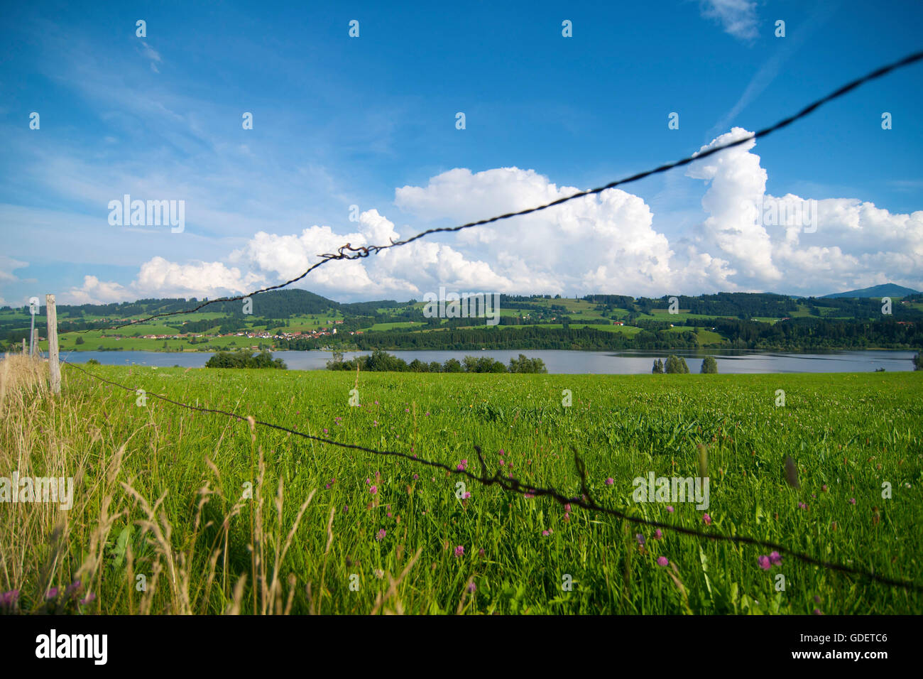 Lake Rottachsee, Allgaeu, Bavaria, Germany Stock Photo - Alamy