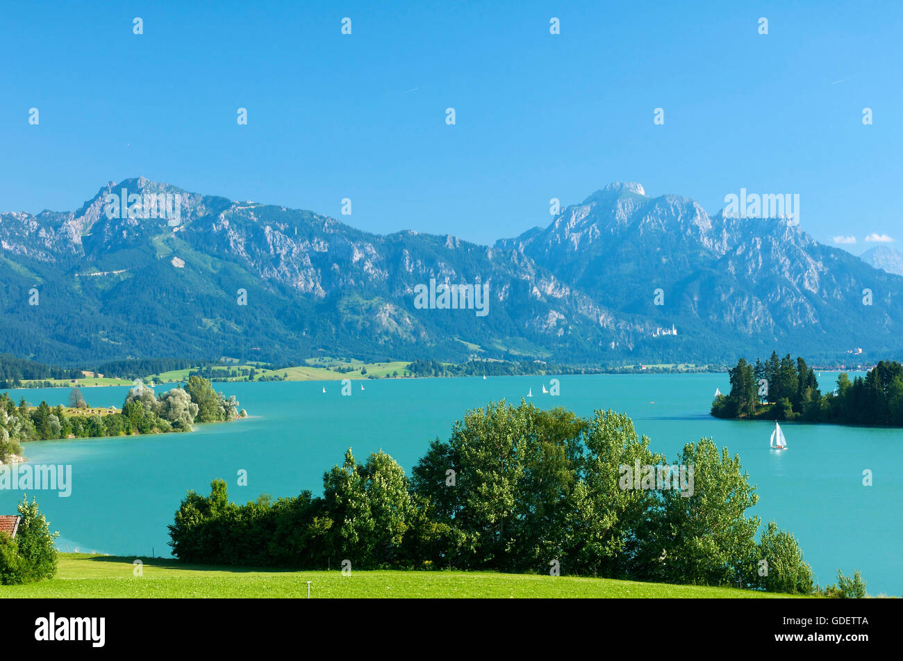 Lake Forggensee, Allgaeu, Bavaria, Germany Stock Photo - Alamy