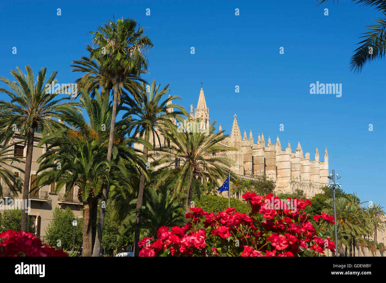 Cathedral la seu palma de hi-res stock photography and images - Alamy