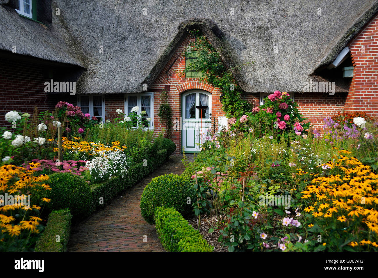 Frisian house, thatched-roof house, Sankt Peter Ording, North Frisia ...