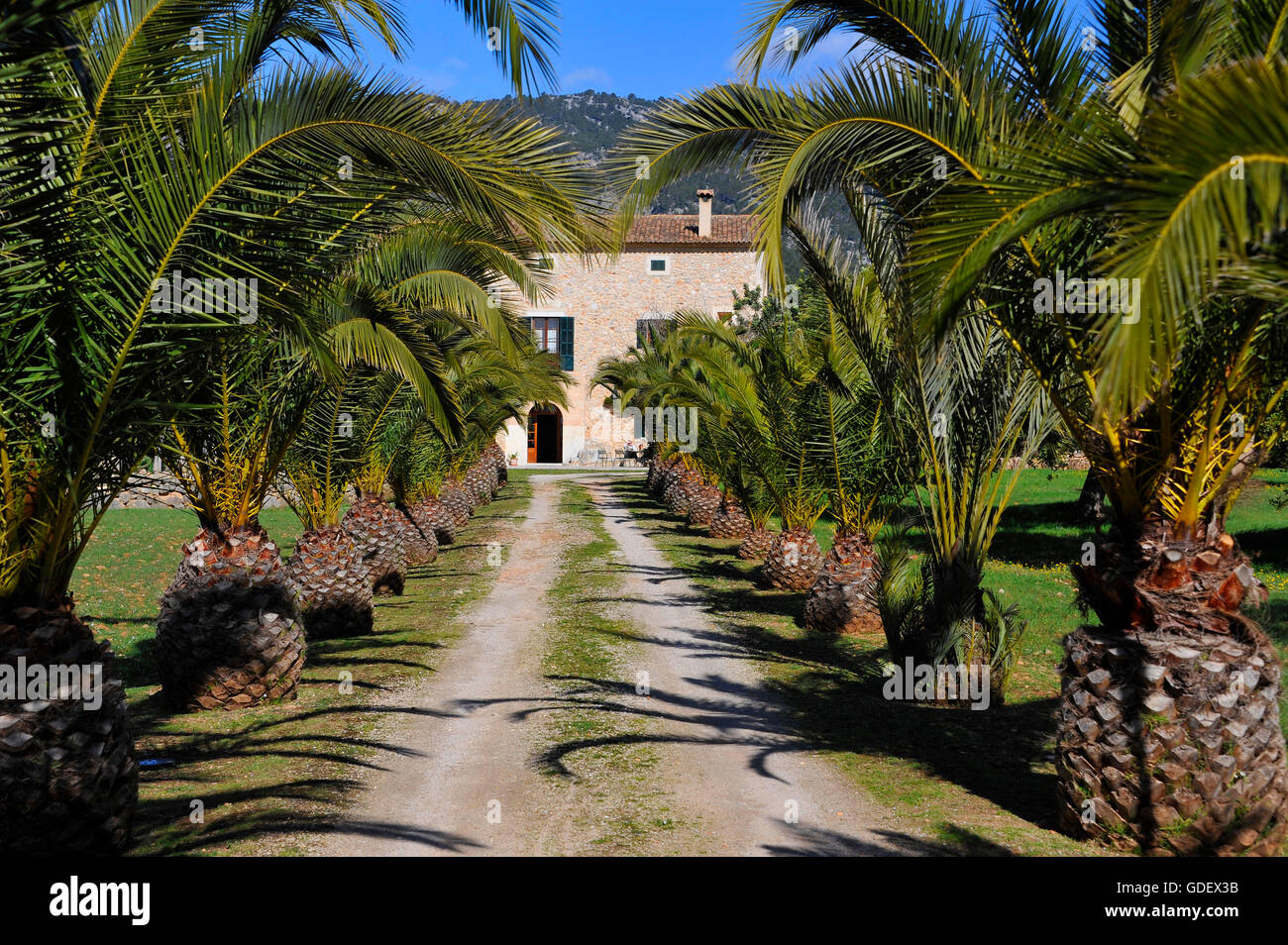 Farmhouse, Alaro, Mallorca, Spain / finca Stock Photo - Alamy