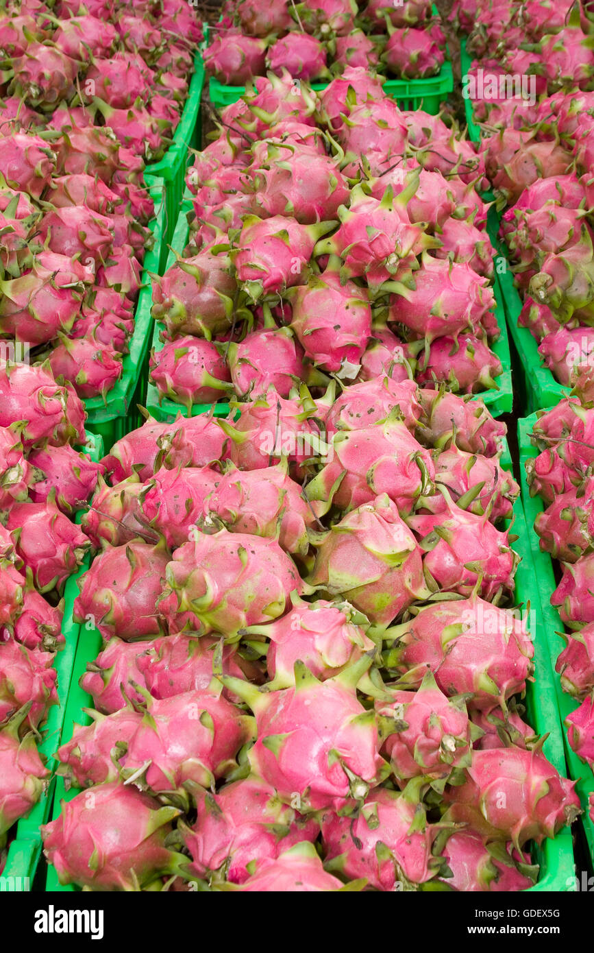 Pitaya image hi-res stock photography and images - Alamy