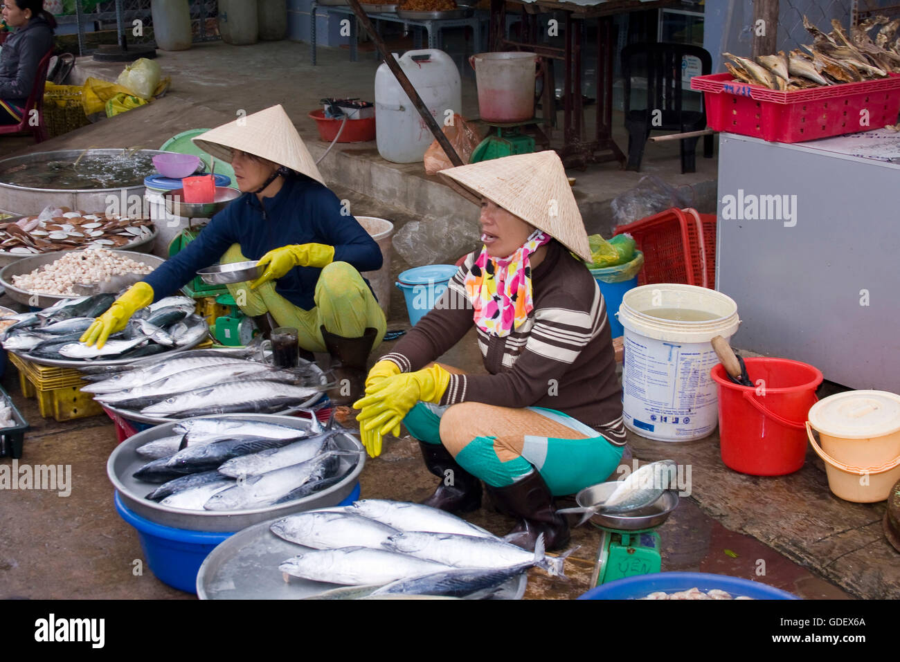 Market, fish vendors, fish sale, Phu Quoc, Vietnam Stock Photo - Alamy