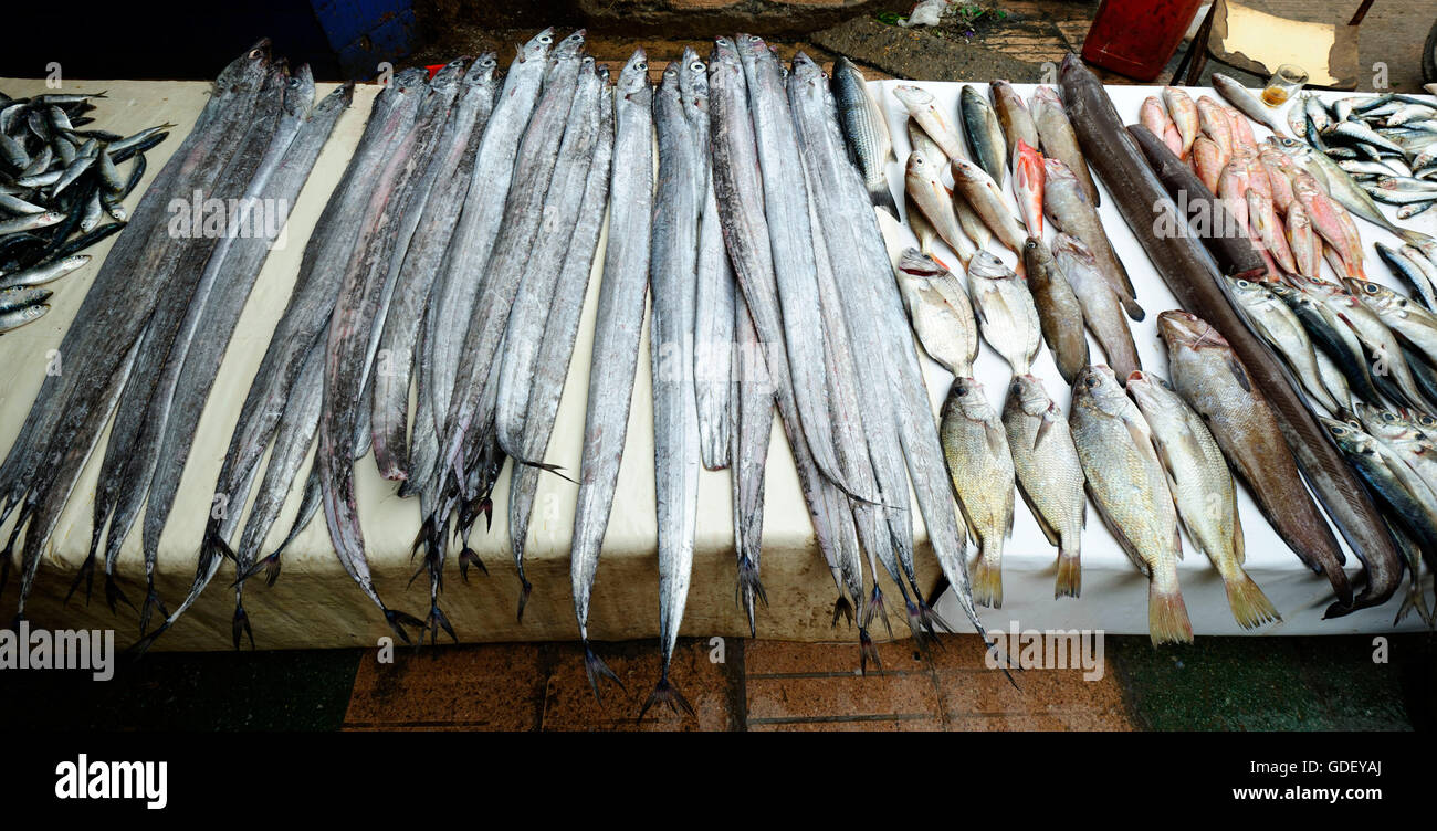 Marocco, Africa, Fish, Medina, Essaouira, fish stall Stock Photo - Alamy