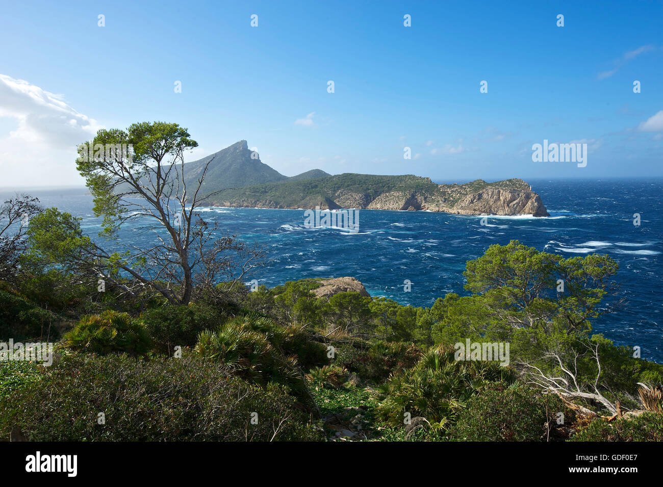 Sa dragonera hi-res stock photography and images - Alamy