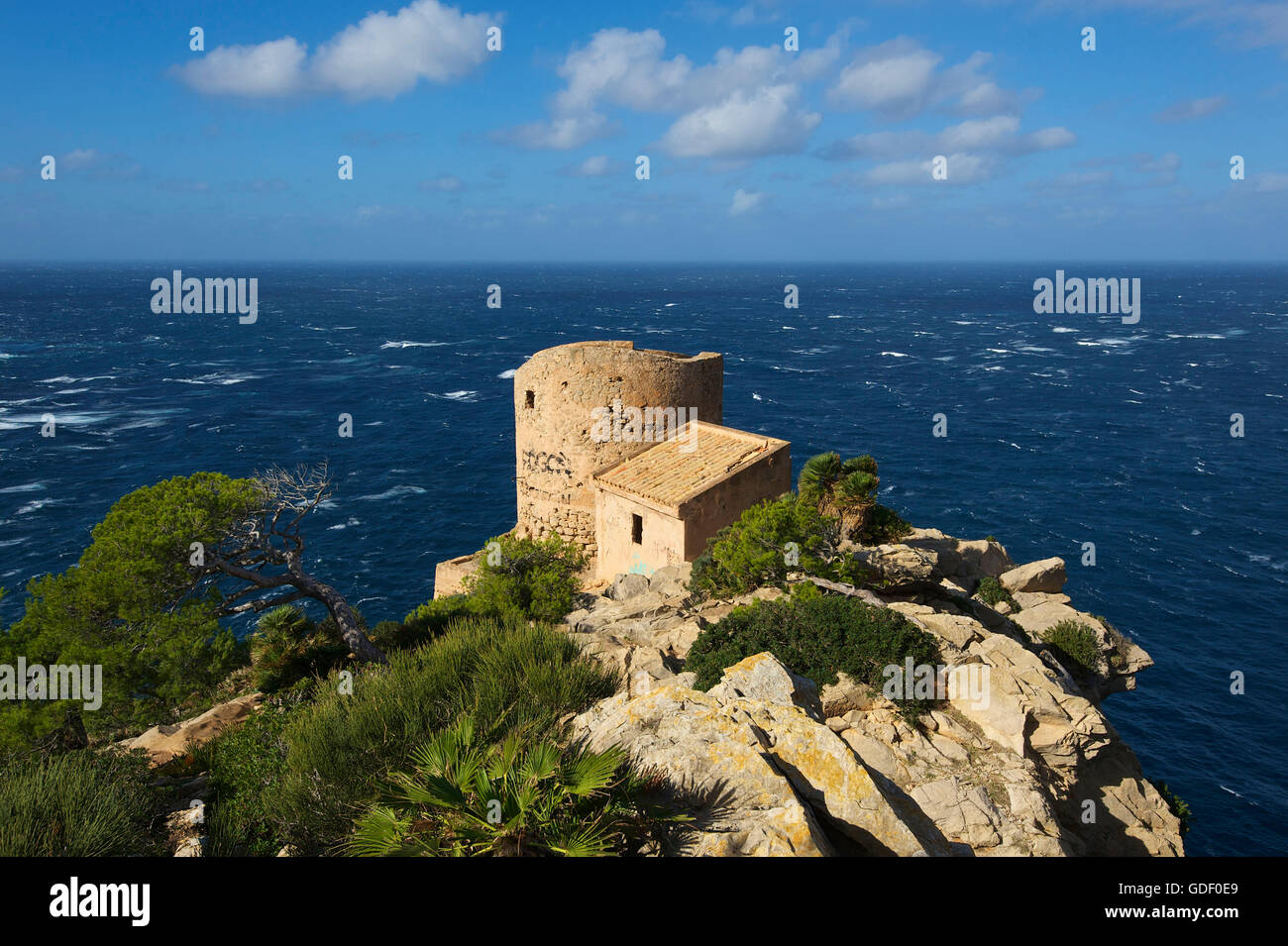 Cala basset hi-res stock photography and images - Alamy