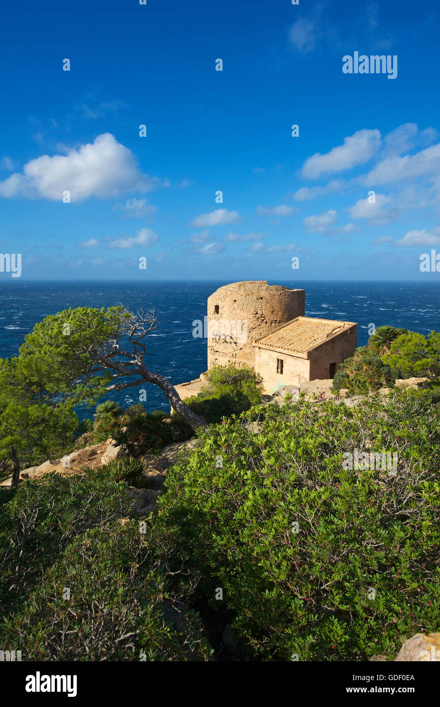Cala basset hi-res stock photography and images - Alamy
