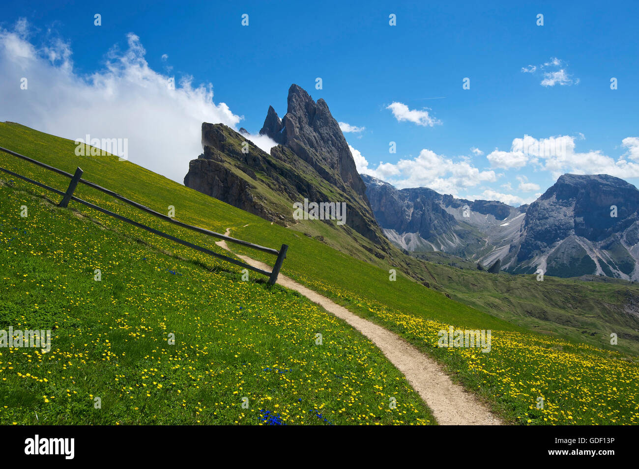 Seceda, Dolomites, Trentino, South Tyrol, Italy Stock Photo - Alamy