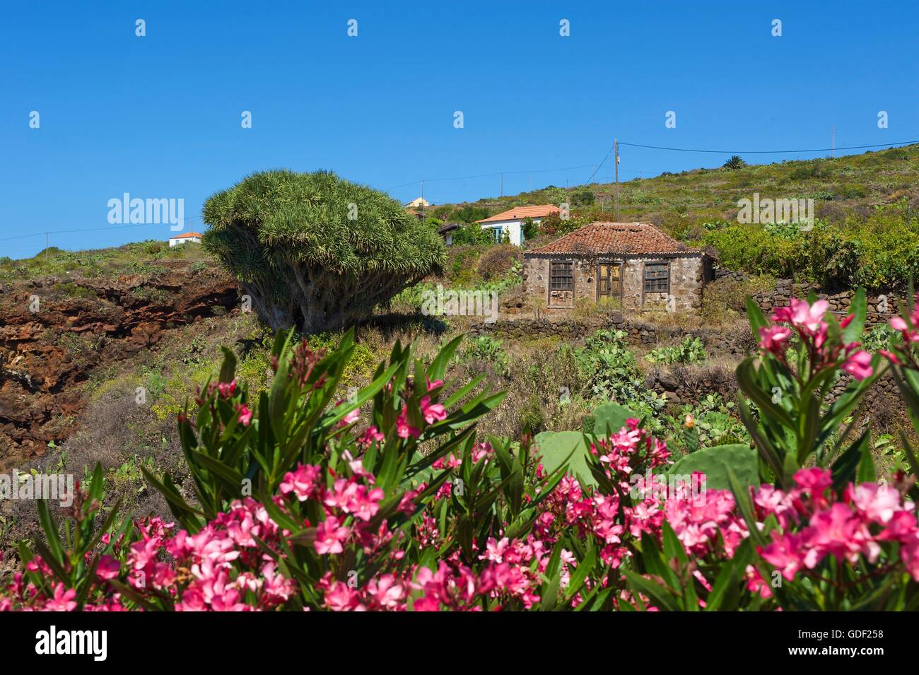 Garafia la palma hi-res stock photography and images - Alamy