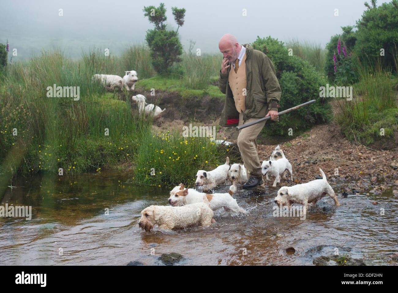 The rat pack hi-res stock photography and images - Alamy