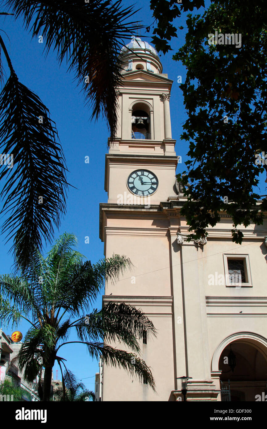 Matriz Church (Metropolitan Cathedral of Montevideo), Montevideo ...