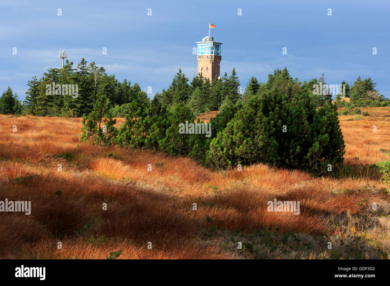 Nationalpark Blackforest, hill moor, Hornisgrinde, Hornisgrinde tower ...