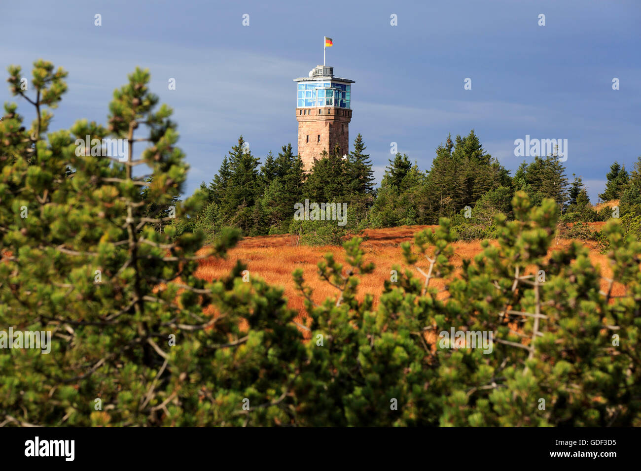 Nationalpark Blackforest, hill moor, Hornisgrinde, Hornisgrinde tower ...
