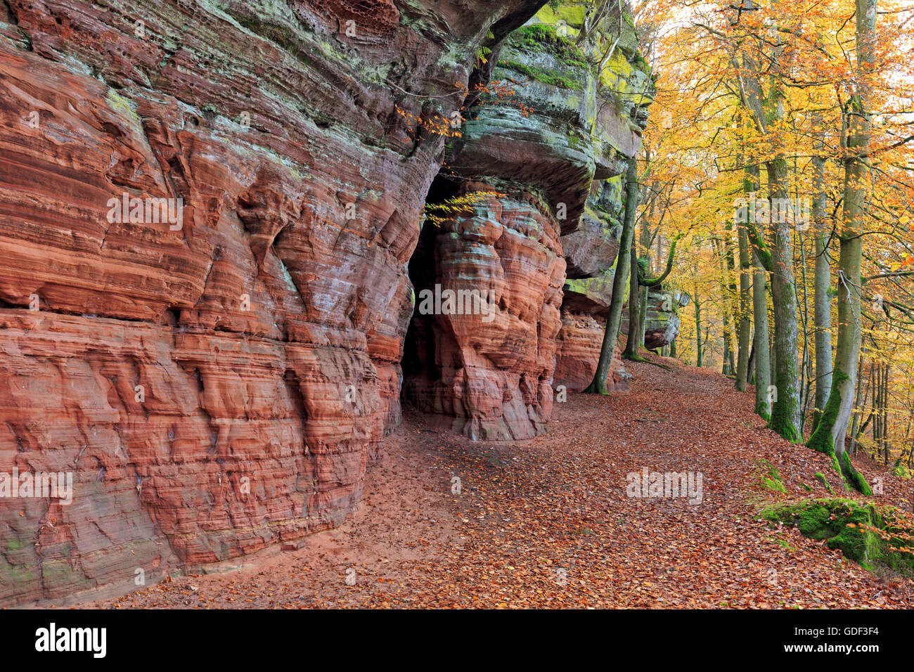 Natural monument, Autumn, Altschlossfelsen, Eppenbrunn, Rhineland ...