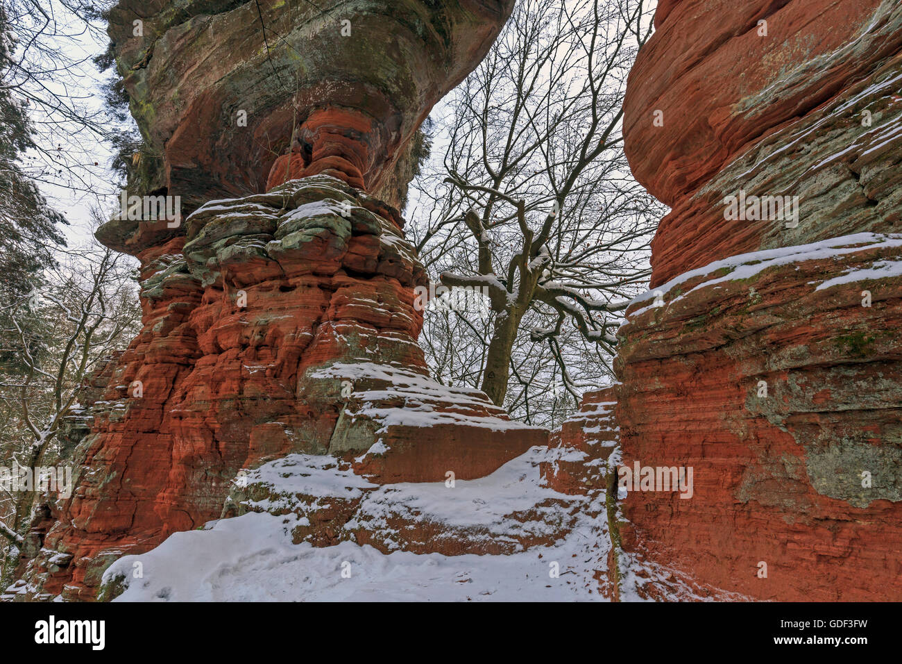 Natural monument, Altschlossfelsen, Eppenbrunn, Rhineland-Palatinate ...