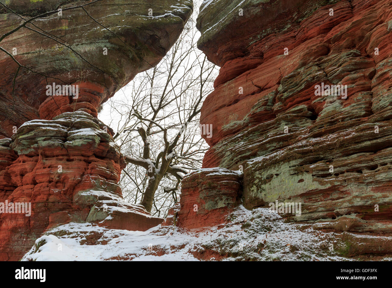 Natural monument, Altschlossfelsen, Eppenbrunn, Rhineland-Palatinate ...