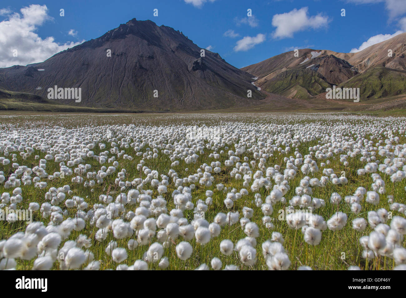 F208, Eldja, Landmannalaugar, Iceland Stock Photo - Alamy