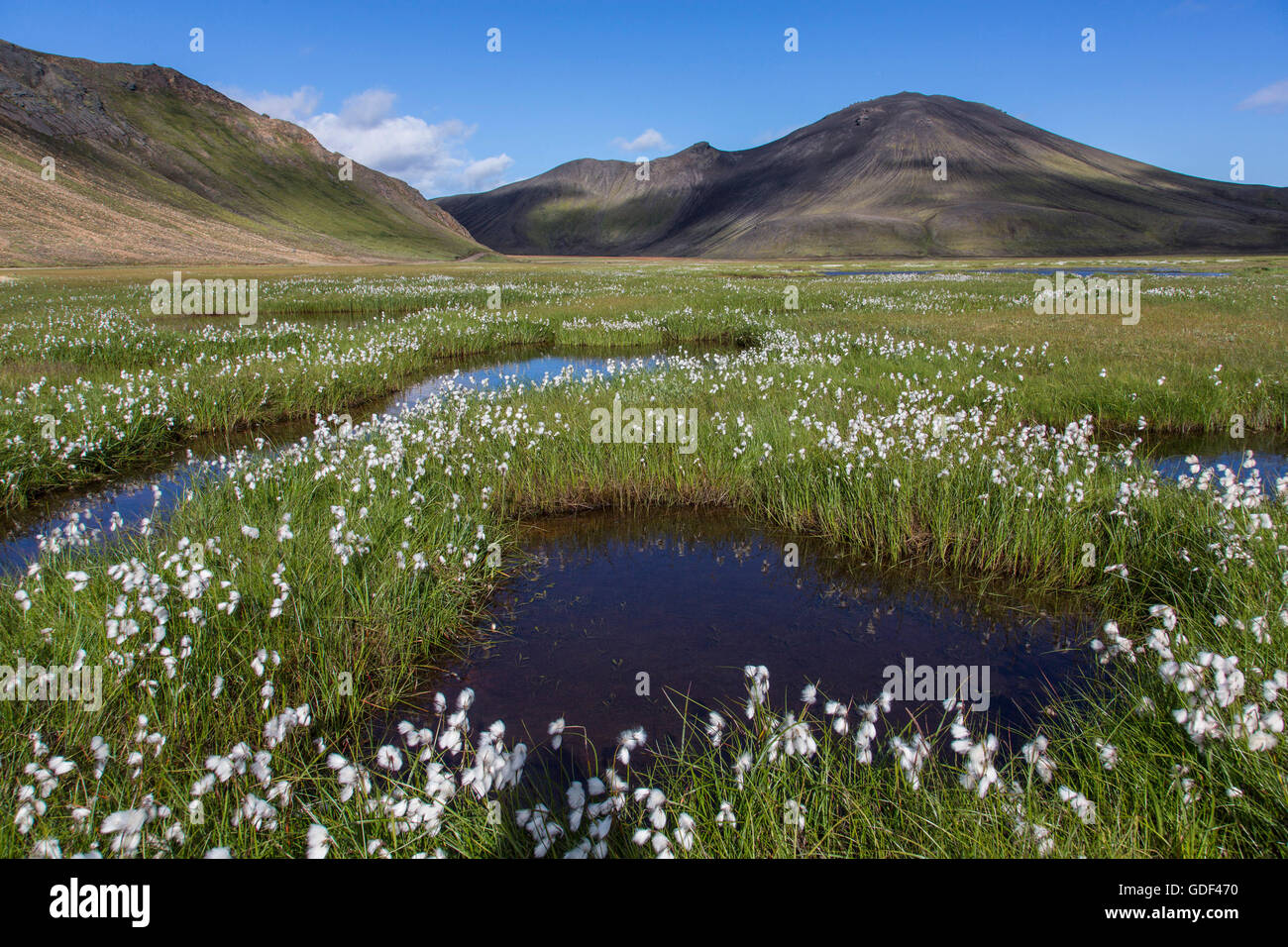 F208, Eldja, Landmannalaugar, Iceland Stock Photo - Alamy