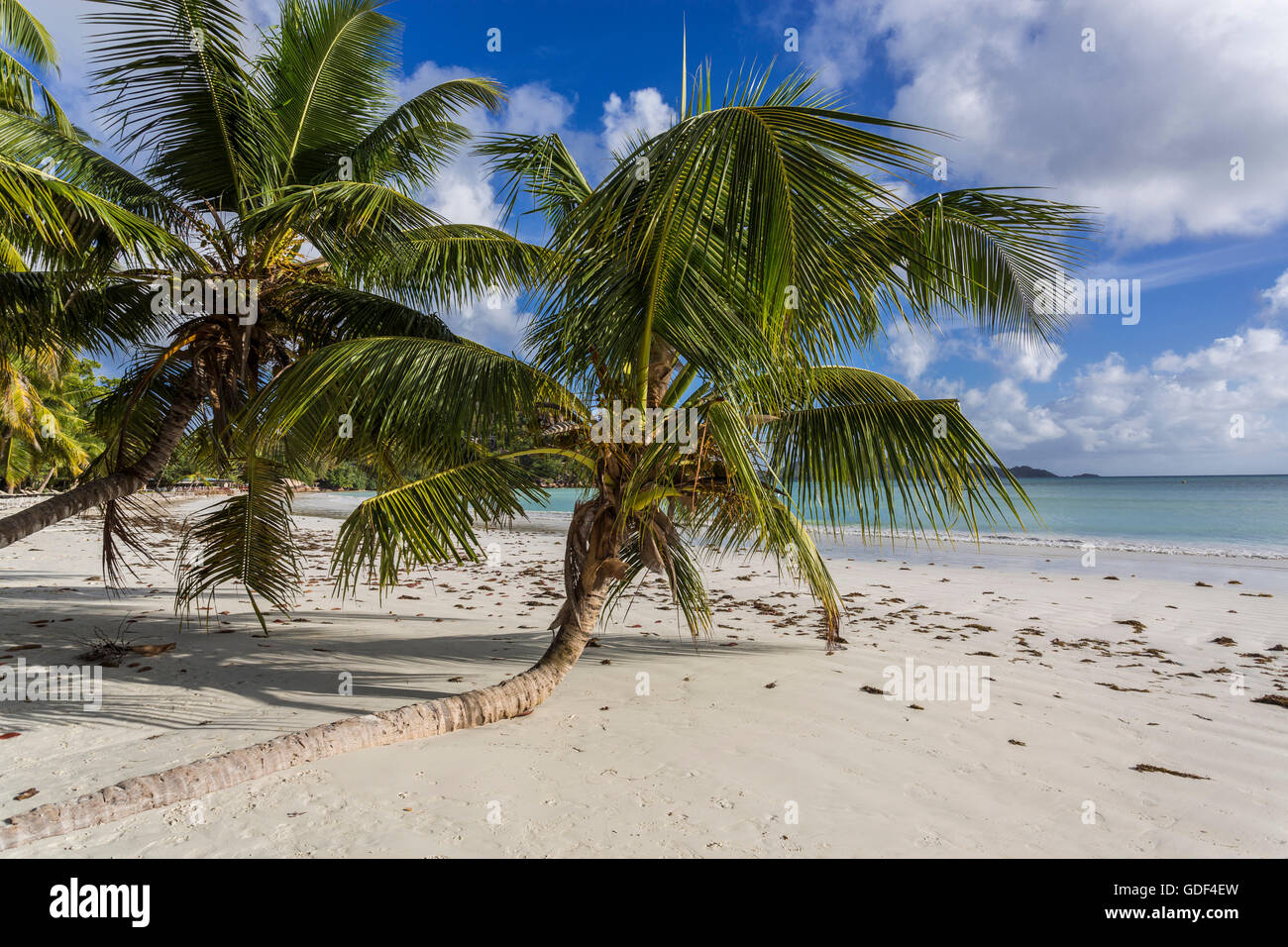 Beach Anse Volbert, Praslin, Seychelles Stock Photo - Alamy