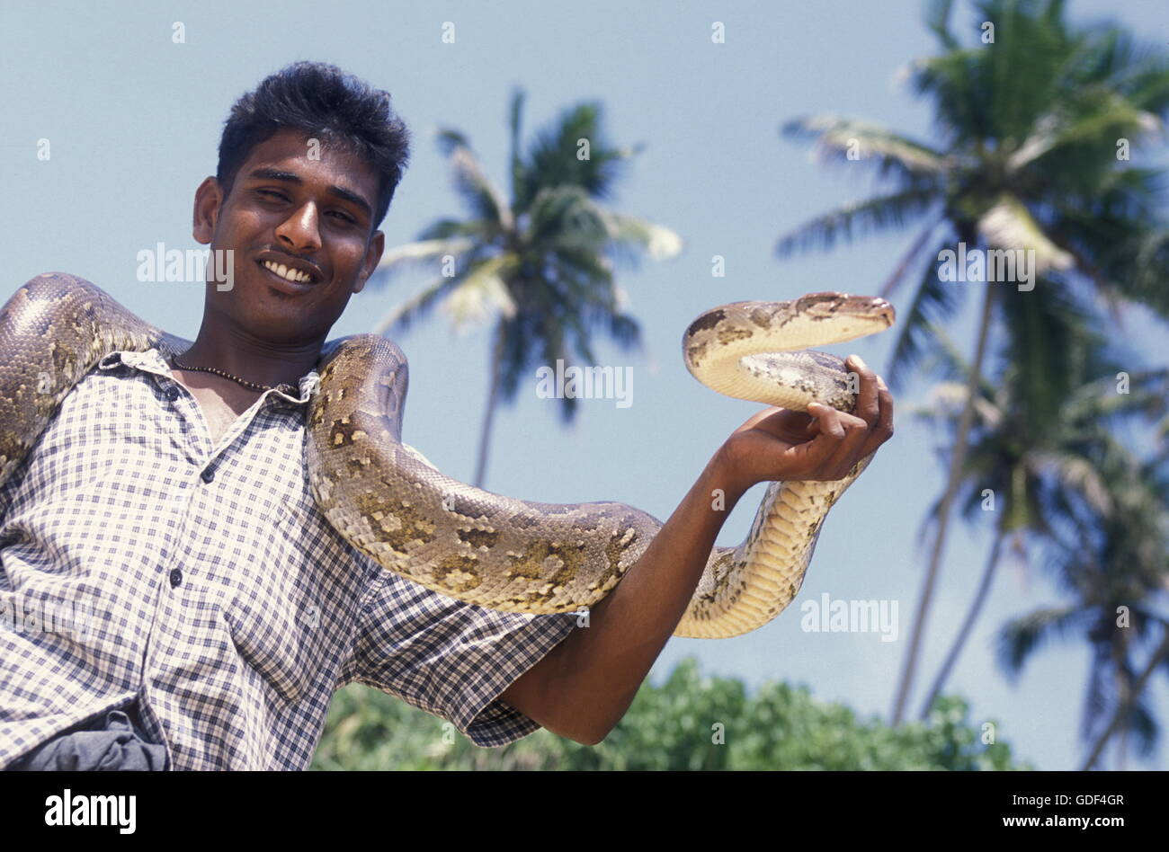 Boy With A Snake High Resolution Stock Photography and Images - Alamy