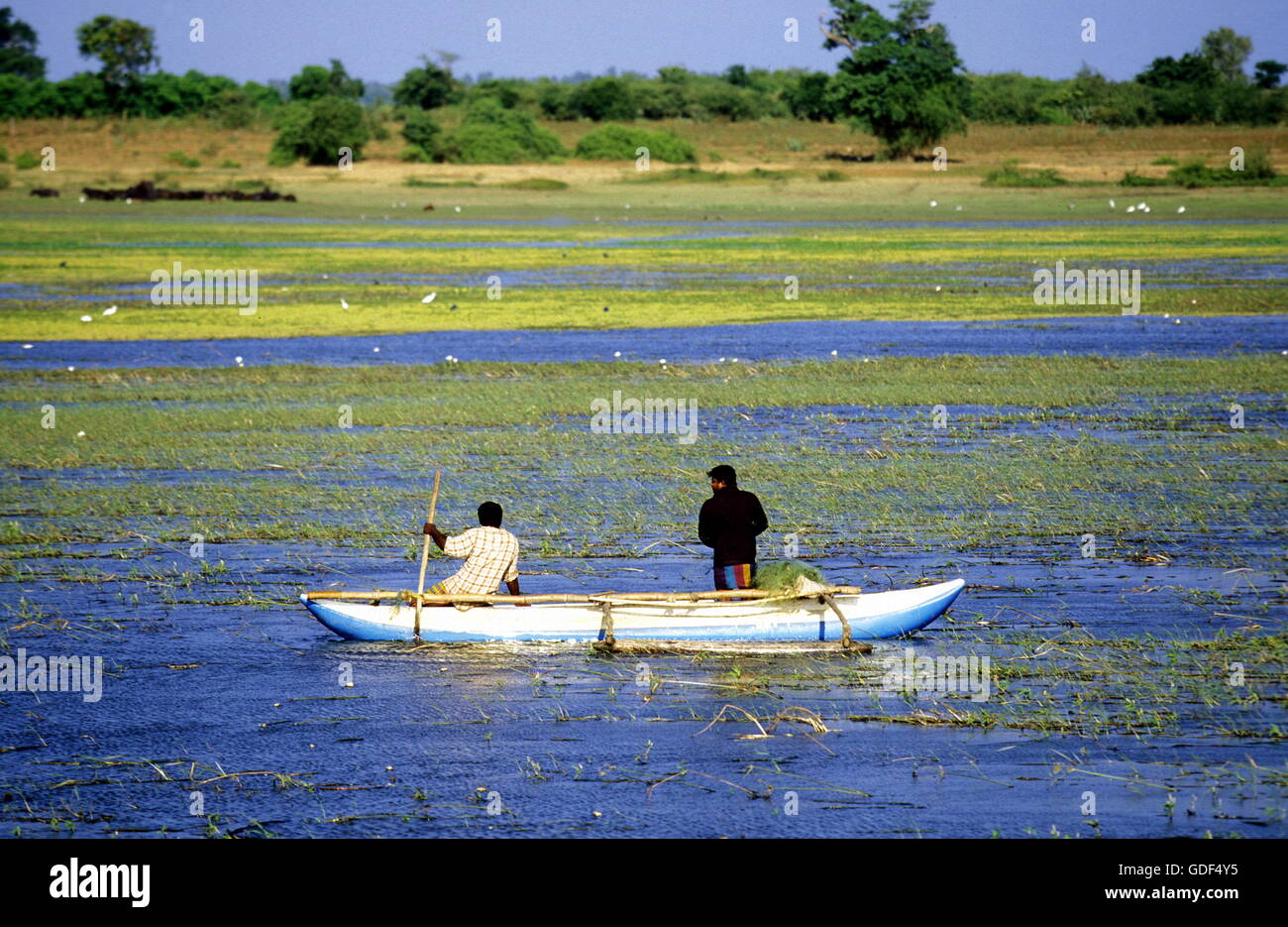 Dhoni Fishingboats at the coast of Nagombo at the westcoast of Sri ...