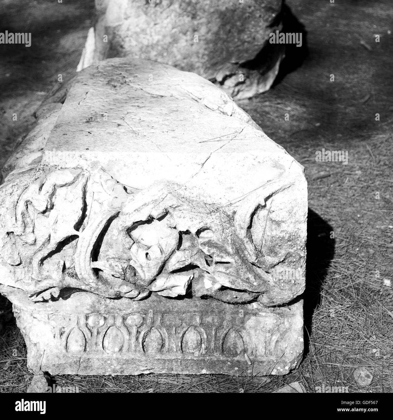 in phaselis temple turkey asia old ruined column and destroyed stone ...