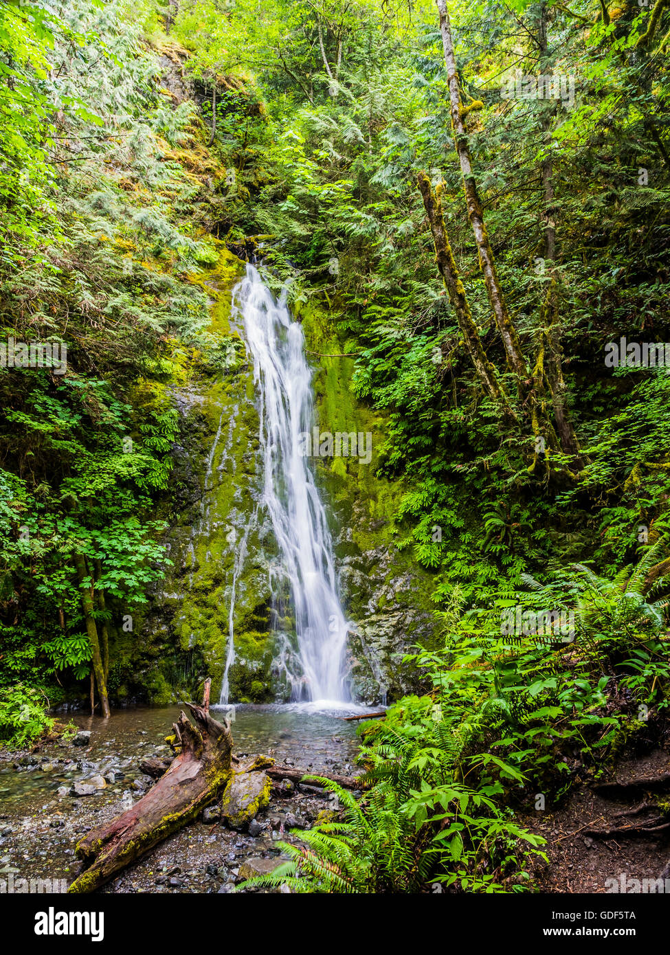 waterfall olympic national park washington Stock Photo - Alamy