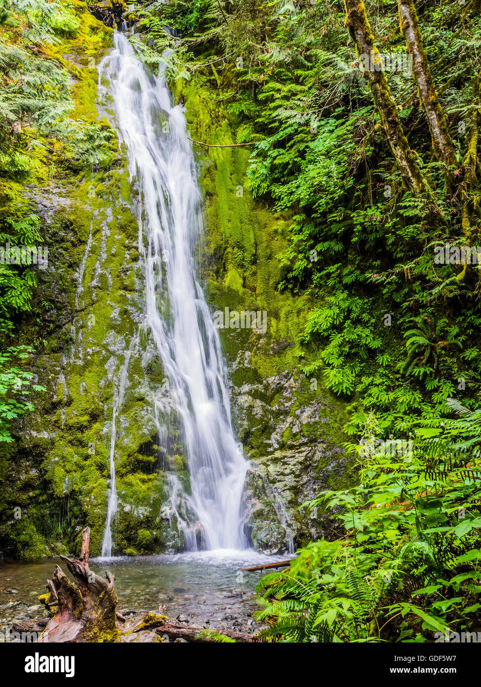 waterfall olympic national park washington Stock Photo - Alamy