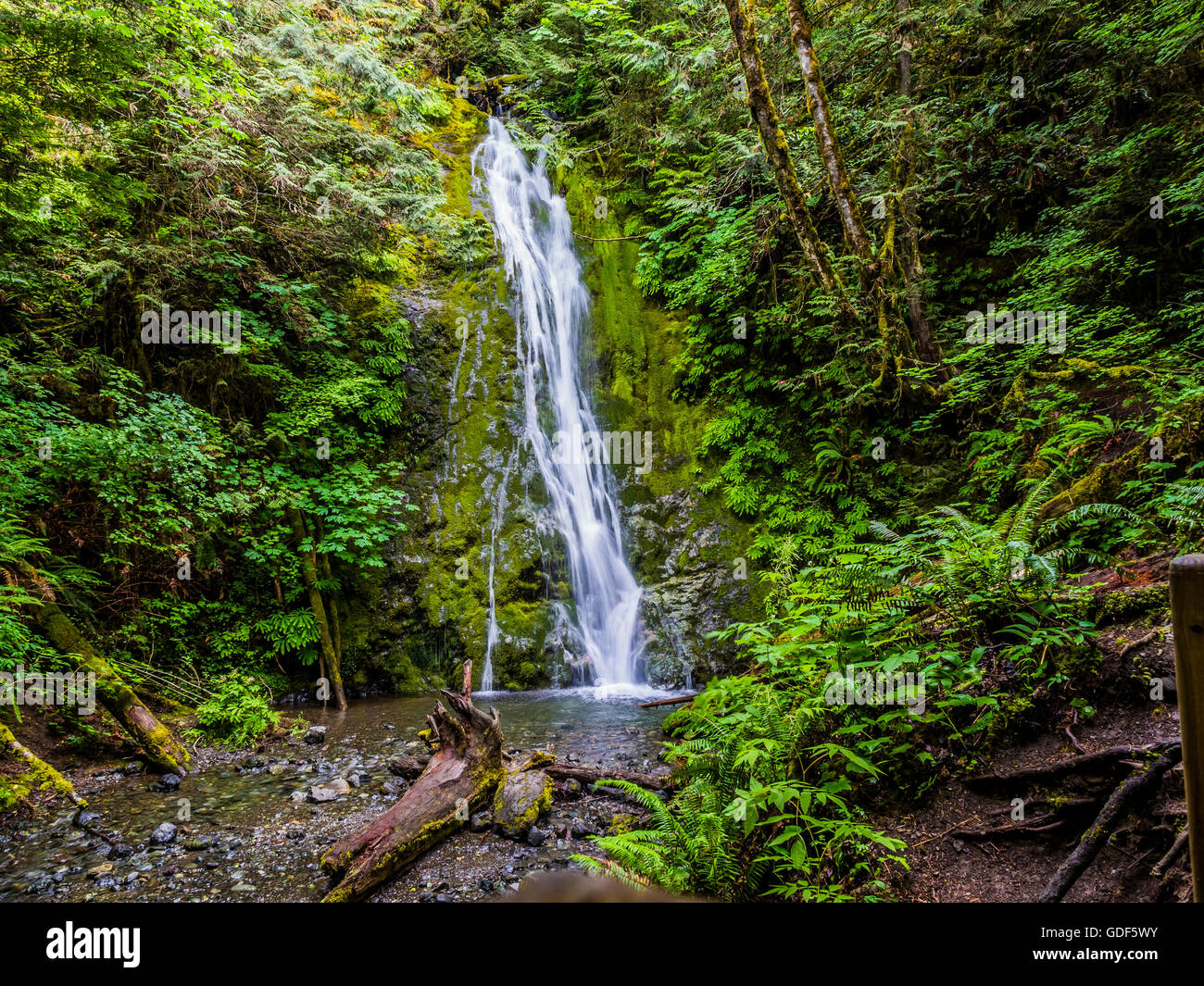 waterfall olympic national park washington Stock Photo - Alamy