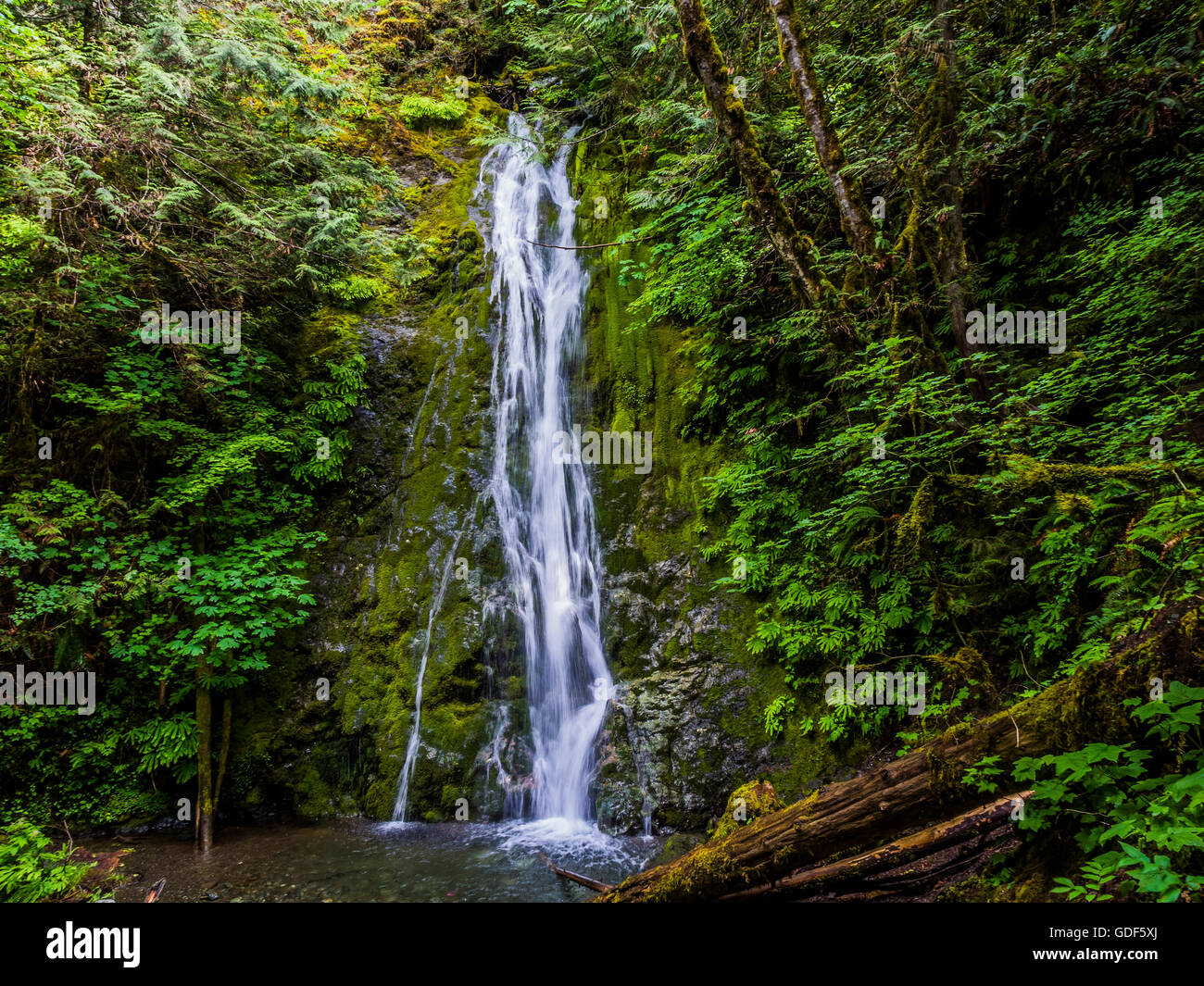 waterfall olympic national park washington Stock Photo - Alamy